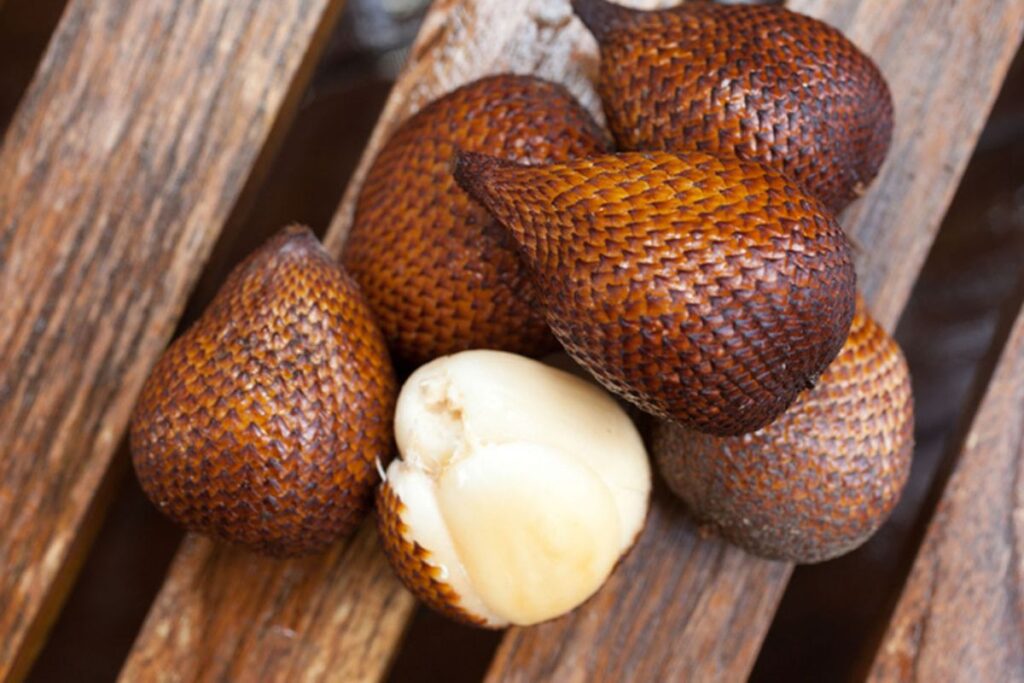 Kandungan dan Manfaat Kesehatan Buah Salak - Sinarfakta.com