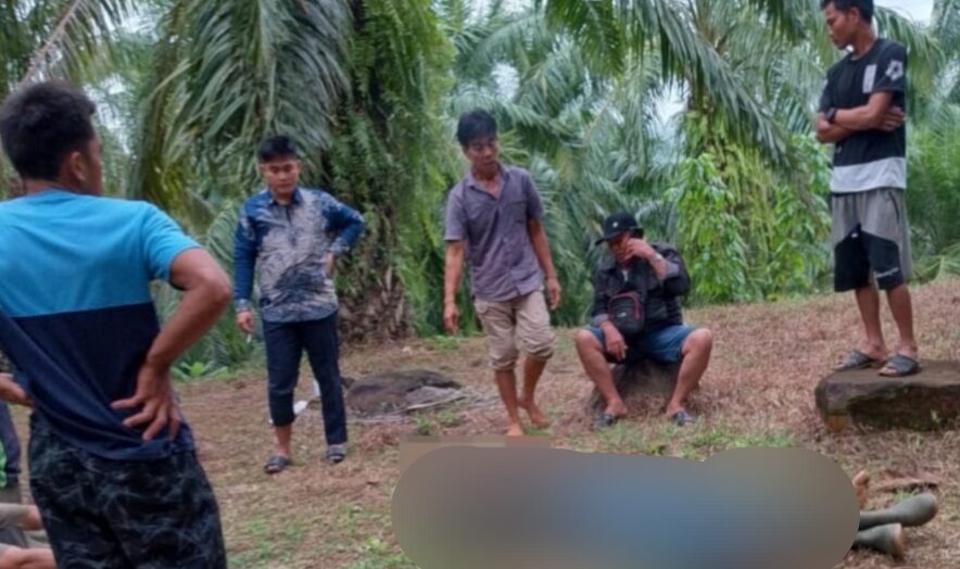 Pria Asal Kota Bengkulu Ditemukan Meninggal di Kebun Sawit Seluma - Sinar Fakta